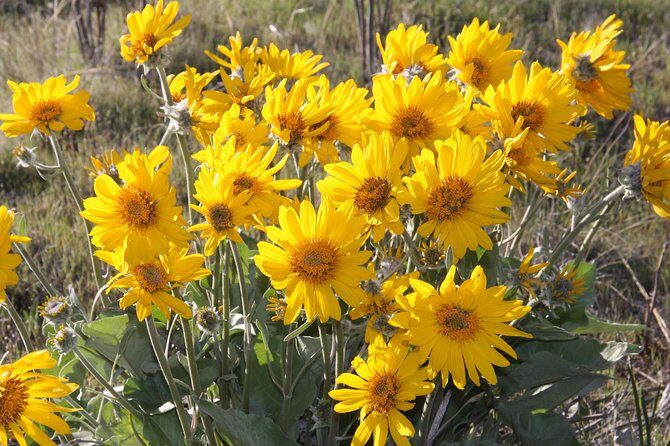 South Okanagan Desert Tour - Final Thoughts: Who Will Love This Tour?