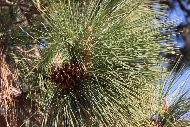 South Okanagan Desert Tour - FAQs