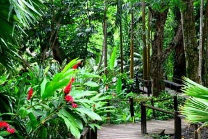 South Sea Island Half Day with Lunch & Drinks - FAQ