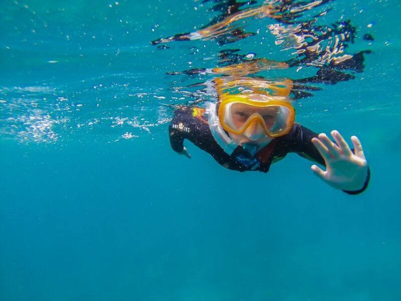 South Tenerife: Guided Snorkeling - Final Thoughts: Is It Worth It?
