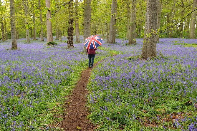 Southampton Port to London - Transfer with Sightseeing - What Makes This Tour Stand Out?