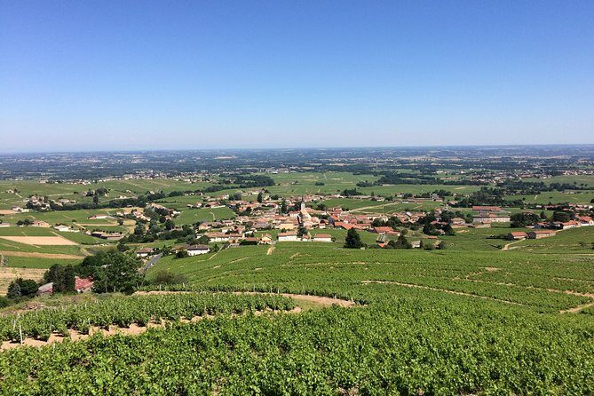 Southern Burgundy Wine Tour - Full Day Shared tour from Lyon - Who Will Love This Tour?