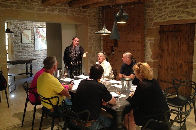 Southern Burgundy Wine Tour - Full Day Shared tour from Lyon - Final thoughts