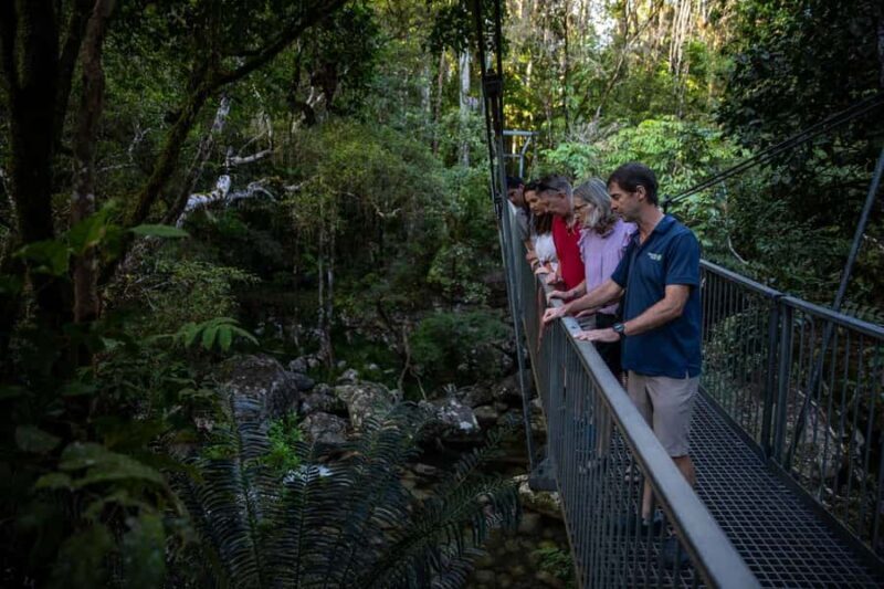 Southern Daintree Explorer Tour - Half Day - Authentic Traveler Insights