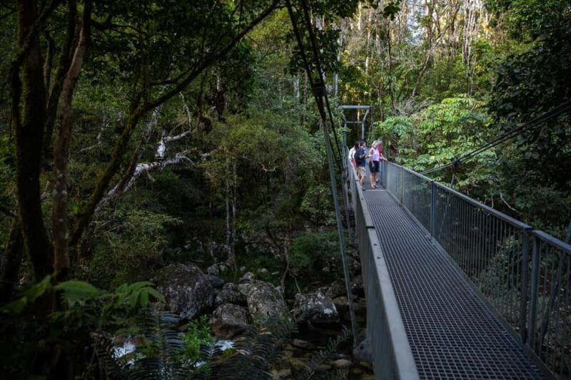 Southern Daintree Explorer Tour - Half Day - Who Would Love This Tour?
