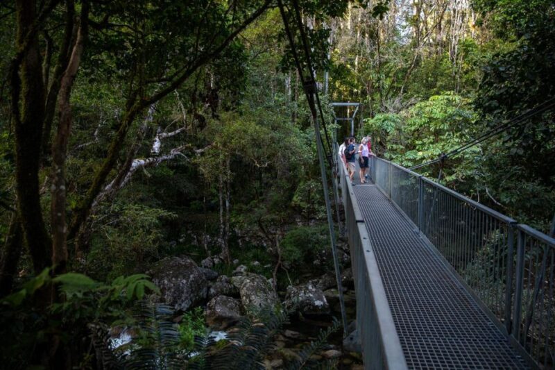 Southern Daintree Explorer Tour - Half Day - FAQ