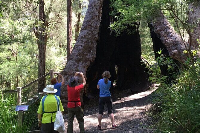 Southern Experience 3 Day Tour - Exploring the South West: An In-Depth Look at the Itinerary