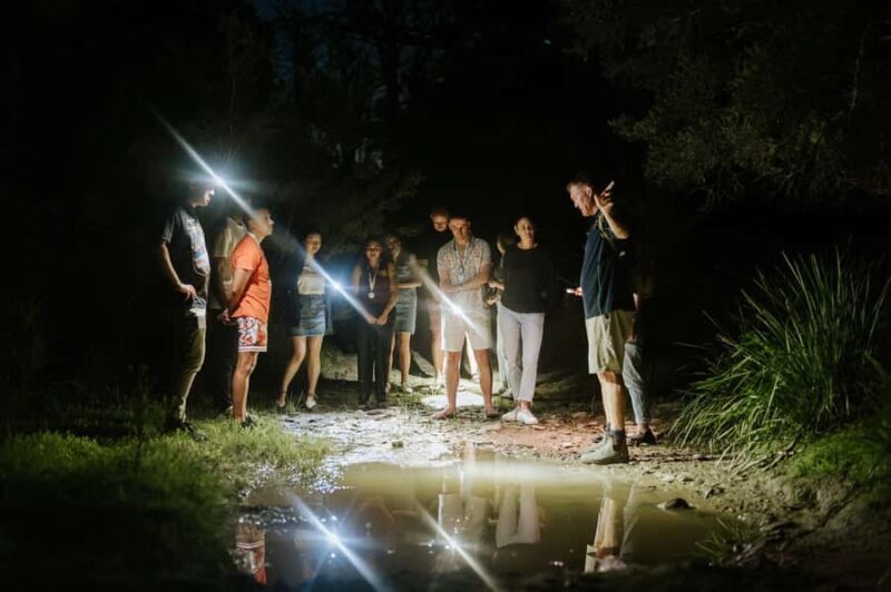 Southern Highlands: Nocturnal Wildlife Experience - An In-Depth Look at the Southern Highlands Nocturnal Wildlife Experience