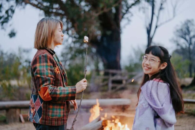 Southern Highlands: Nocturnal Wildlife Experience - Frequently Asked Questions