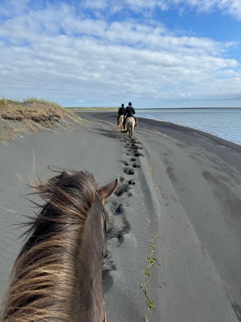 southern Iceland: Black beach riding tour - Key Points