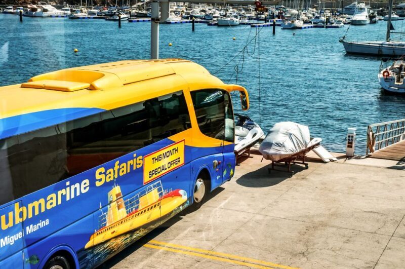 Southern Tenerife: 50-Minute Submarine Dive - Practical Details and Considerations