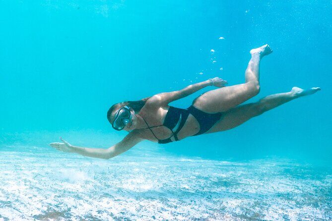 Southern Virgin Coves Half Day Trip with a Stop - Who Is This Tour Best For?