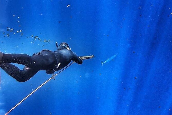 Spearfishing Playa del Carmen or Tulum - Authenticity and Responsible Fishing