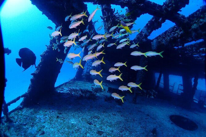 SPECIAL!! 2 Tank Wreck & Drift Reef dives - FAQ