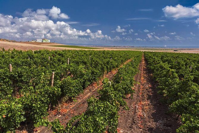 Special History And Wine Tour including Wine Tasting - What Reviewers Loved