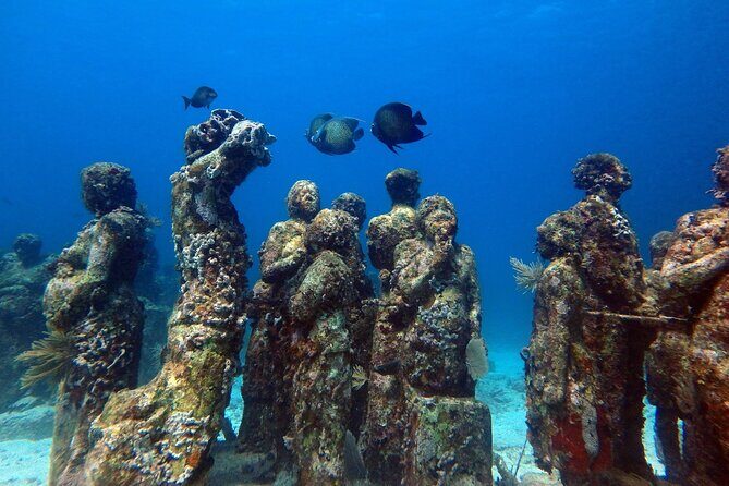 SPECIAL! Snorkel at MUSA - The Underwater Museum Reservation - Real-World Guest Insights