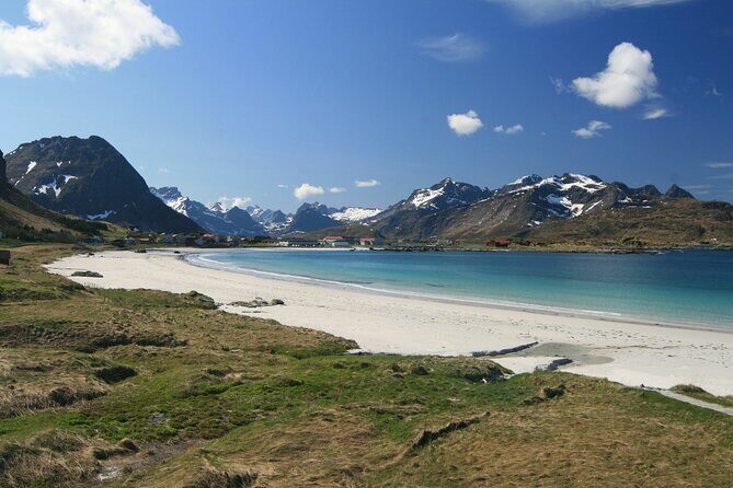 Special Summer Cruise Bus Tour of Lofoten - What to Expect from the Tour