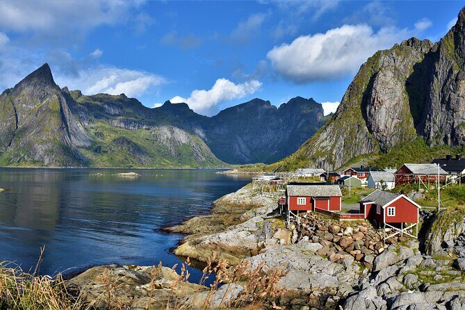 Special Summer Cruise Bus Tour of Lofoten - Frequently Asked Questions
