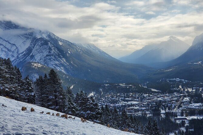Spectacular Banff Day - Gondola Included - A Detailed Look at the Banff Day Tour