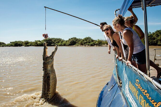 Spectacular Jumping Crocodile Cruise with Darwin Transfer Bus - Who Will Love This Tour?