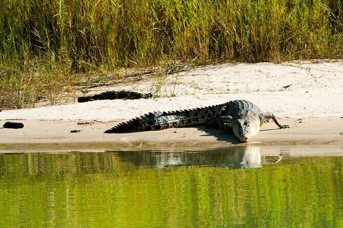 Spectacular Jumping Crocodile Cruise with Darwin Transfer Bus - FAQ