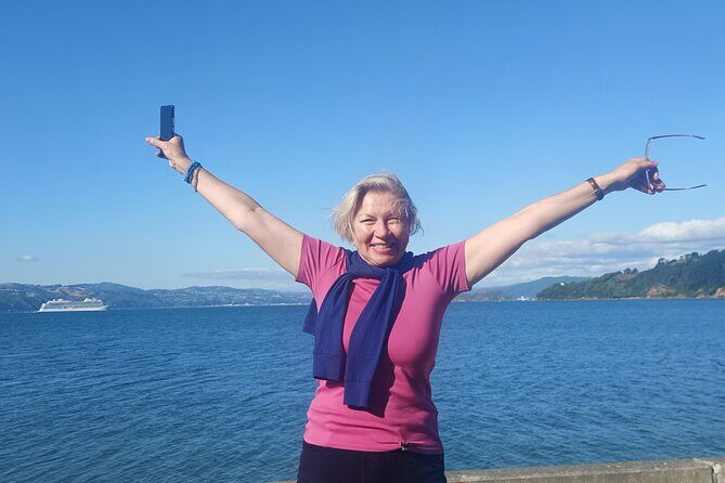 Spectacular Wellington: Full Day Private Sightseeing Tour - Who Should Book This Tour?