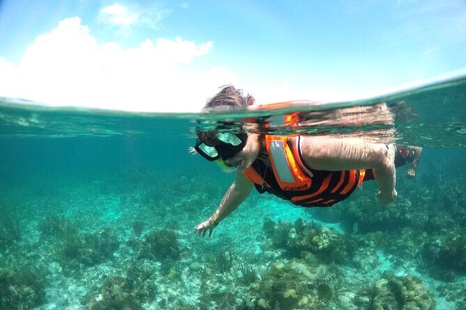 Speed boat aventure and snorkel - Who Should Book This Tour?