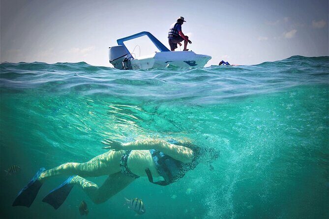 Speed Boat & Snorkel Tour with transportation ( only Cancun zone area) - Authentic Insights from Travelers