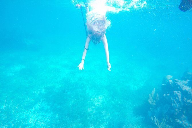 Speed Boat & Snorkel Tour with transportation ( only Cancun zone area) - The Sum Up