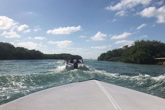 Speedboat adventure through the Nichupte Lagoon. Snorkel included. - An In-Depth Look at the Experience