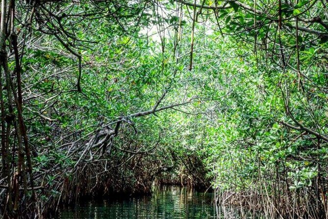 Speedboat and Snorkeling Adventure in Cancun - Authenticity and Local Guides  