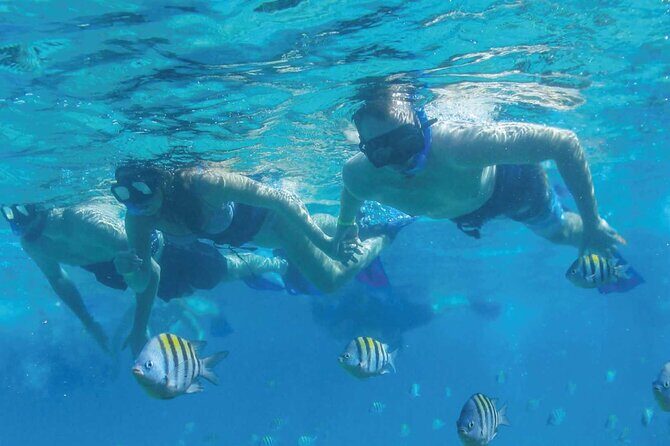 Speedboat Excursion: Thrilling Drive & Snorkel in Cancun Lagoon! - FAQ