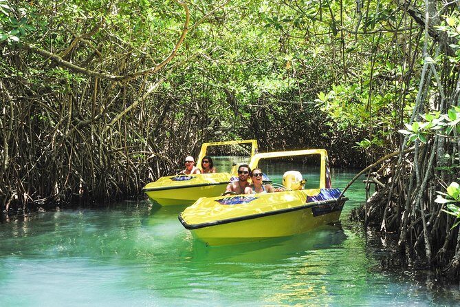 Speedboat jungle tour and snorkel - Key Points  