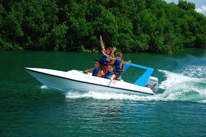 Speedboat jungle tour and snorkel - What Makes This Tour Stand Out
