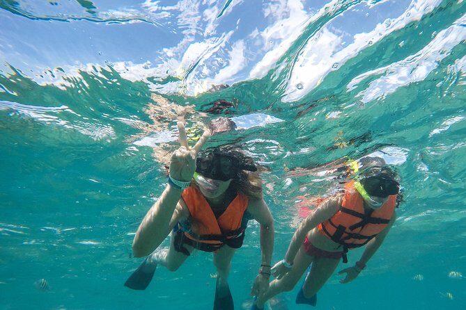 Speedboat jungle tour and snorkel - Content of the Experience: What You Should Know Before You Go