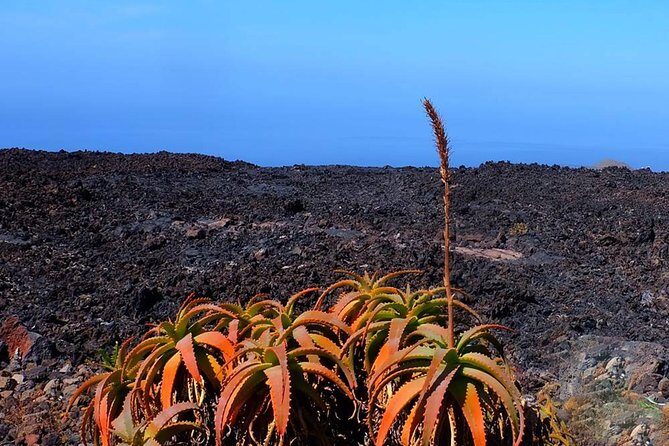Speleology Tour in Cueva de Las Palomas in La Palma - Exploring the Cueva de Las Palomas in La Palma: An In-Depth Review