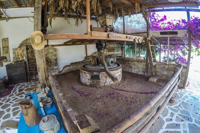 Spiridi Olive Oil Farm Tour - Key Points