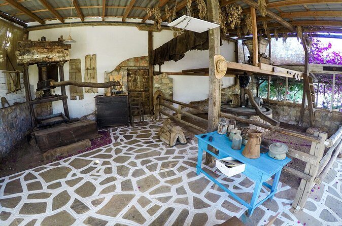 Spiridi Olive Oil Farm Tour - The Sum Up