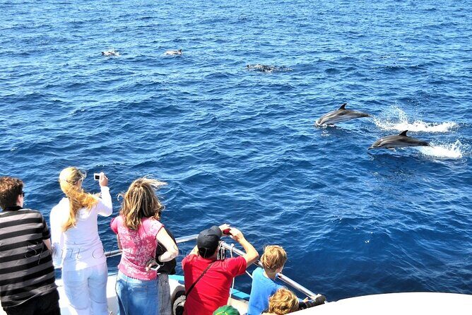 Spirit of the Sea: Cetacean sighting in Gran Canaria - FAQ