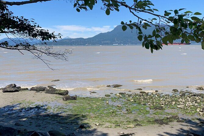 Spirit Of Vancouver Bike or Ebike Tour - Analyzing the Value: Is It Worth It?