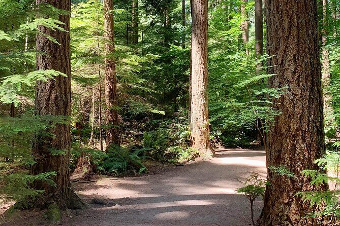 Spirit Of Vancouver Bike or Ebike Tour - FAQ Section