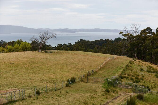 Spirited Alchemist Experience - Practical Details and What to Expect