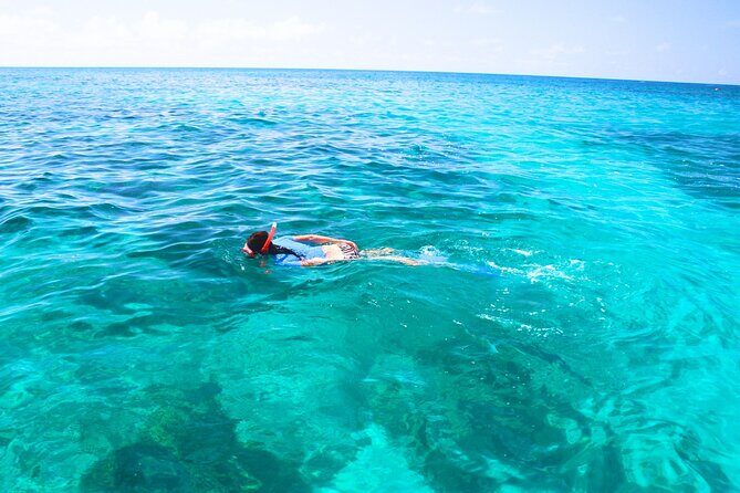 Split: Blue Lagoon & 3 Islands Speedboat Tour - Small group - Key Points