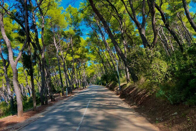 Split by Private Electric Rickshaw - Palace & Hidden Gems - Final Thoughts