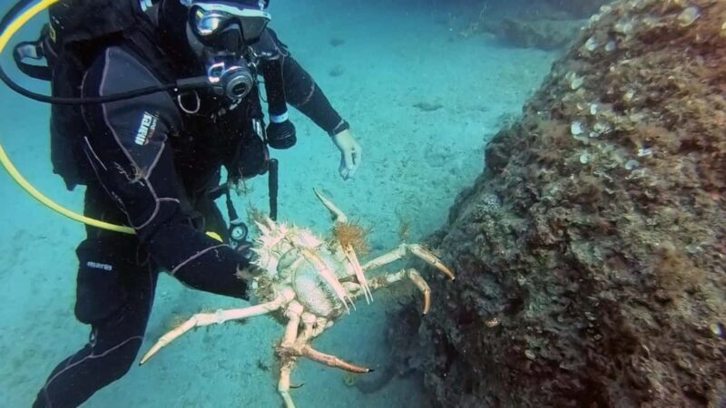 Split-Makarska-Brela Try SCUBA Dive - Frequently Asked Questions