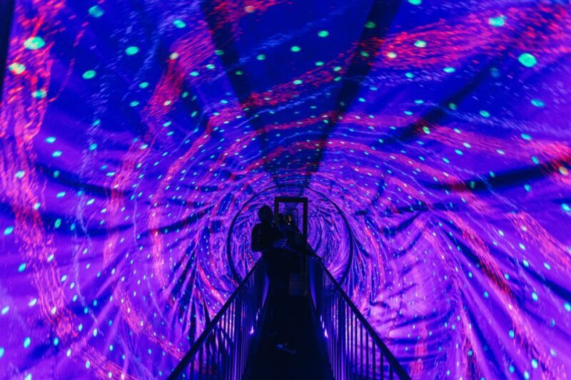 Split: Museum of Illusions Entrance Ticket - Key Points