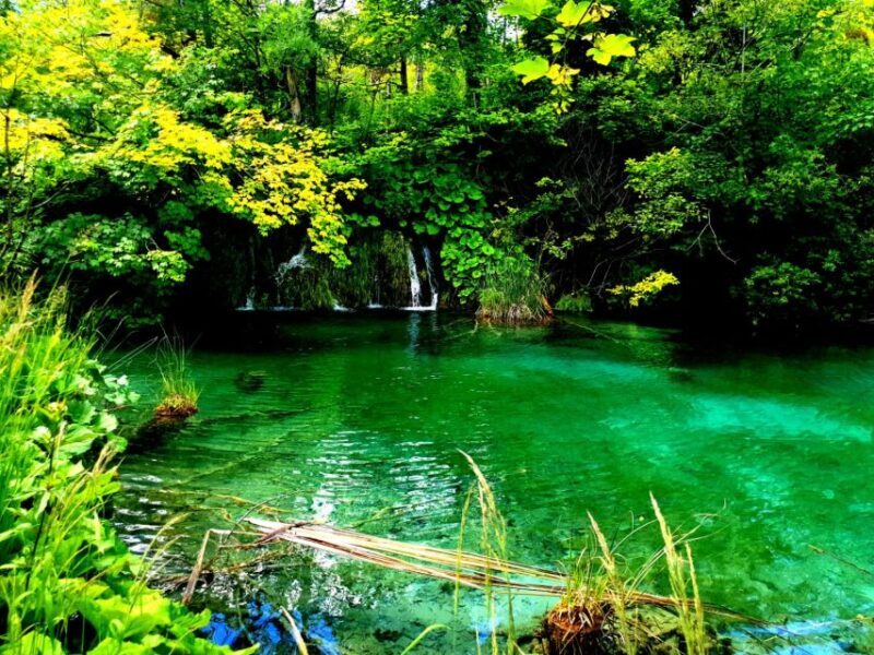 Split: Plitvice Lakes Guided Day Tour with Entry Tickets - Practical Tips for Your Trip