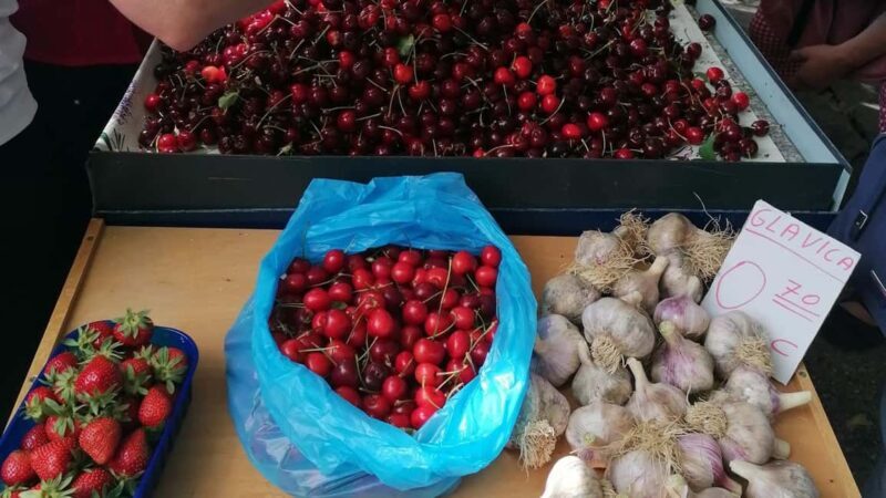 Split; Private Morning Walking Tour in Split - Key Points