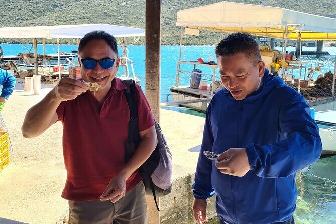 Split to Dubrovnik Private transfer 1-8 pax (Door to Door any location) - Why Choose a Private Transfer from Split to Dubrovnik?