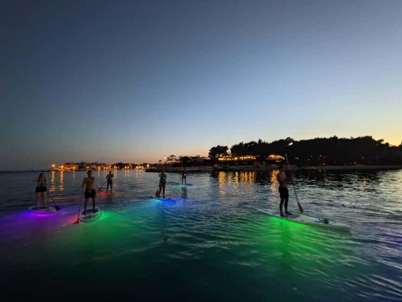 Split: Transparent SUP night Glow tour - The Sum Up
